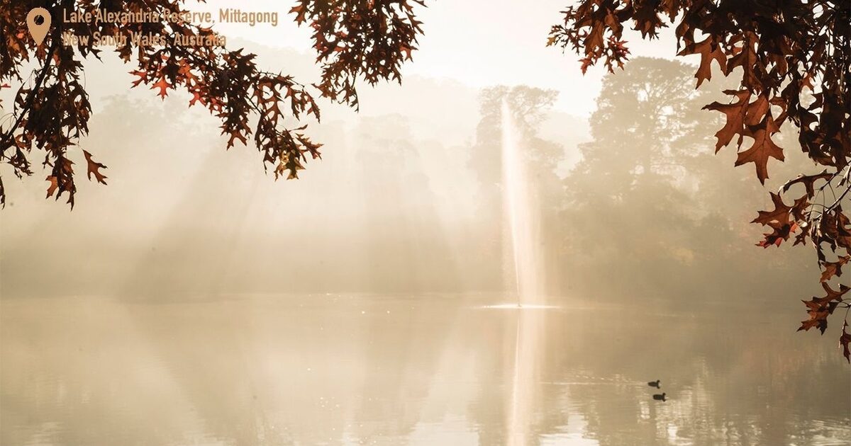 Mittagong Holiday Park | Lake Alexandra Reserve