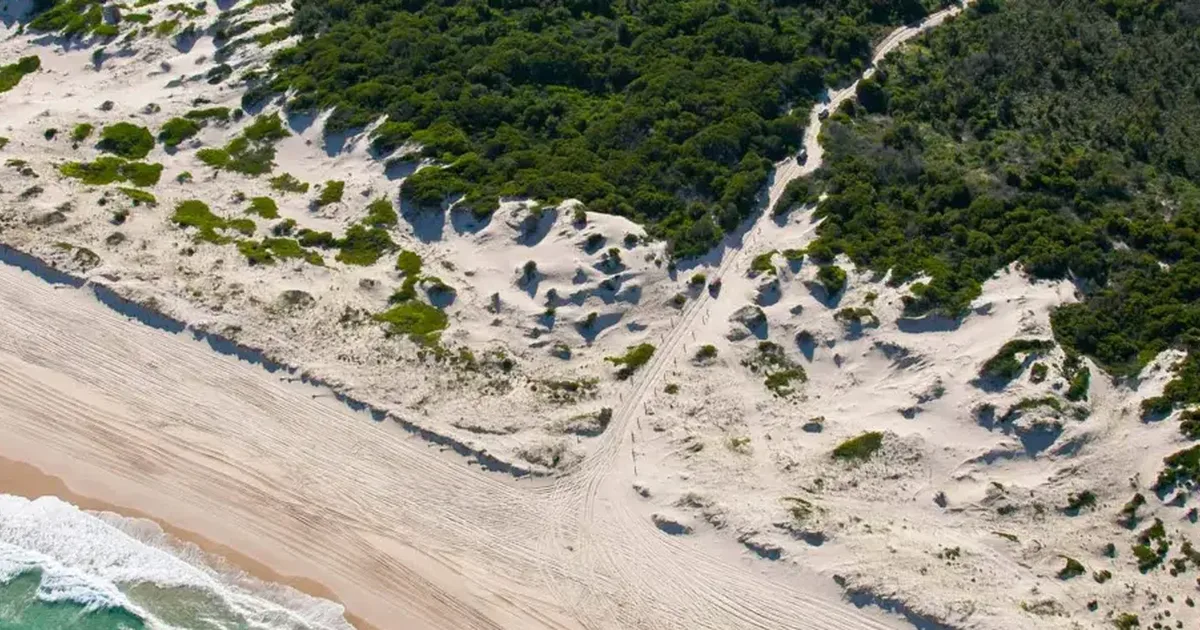 Stockton Beach | Sand Dunes & 4WD Adventures near Heatherbrae